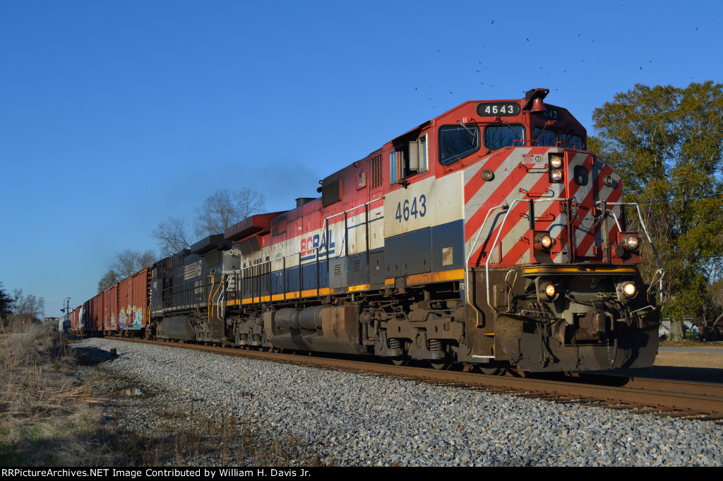 NS'S Georgia Division Macon South District